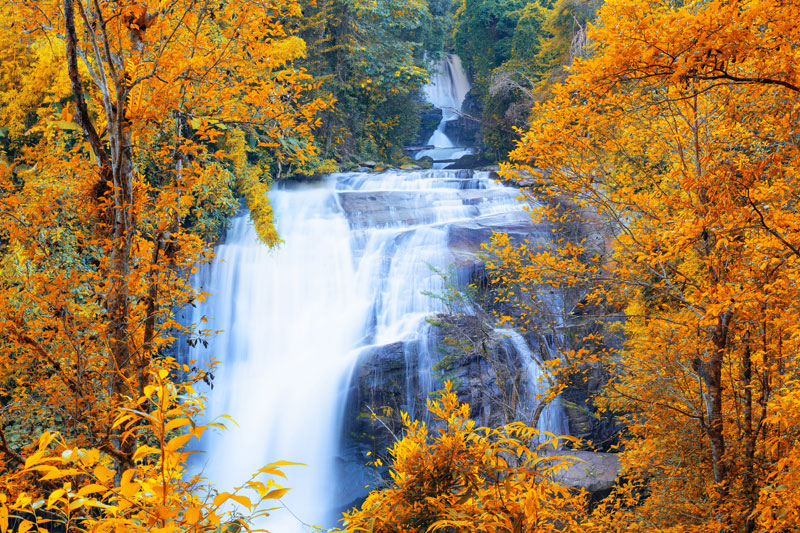 Waterfall Wanderer - Doi Inthanon Hiking Tour - Waterfall Tour Chiang Mai